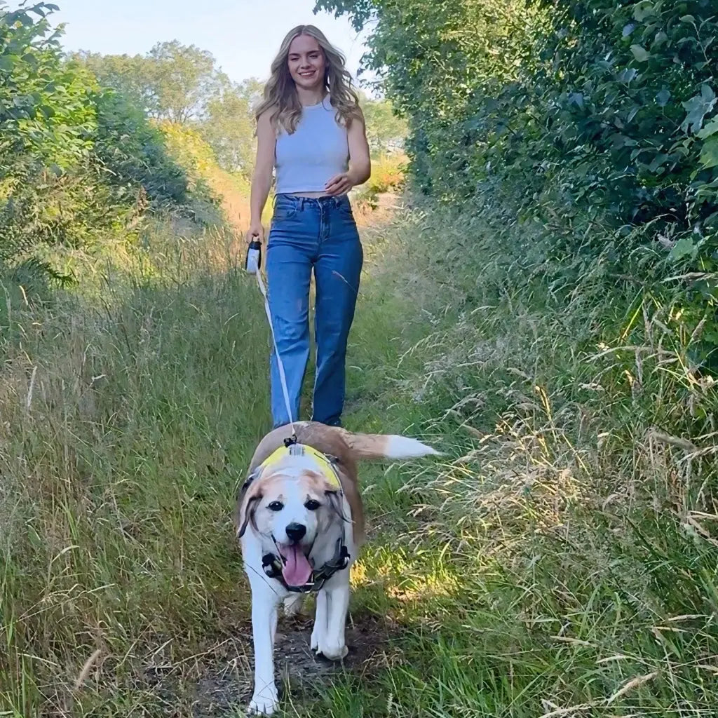 How Pulling Affects Your Dog’s Health: Long-Term Risks – FIDA Pet